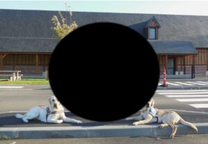 La déficience visuelle, différentes formes - Centres Paul Corteville