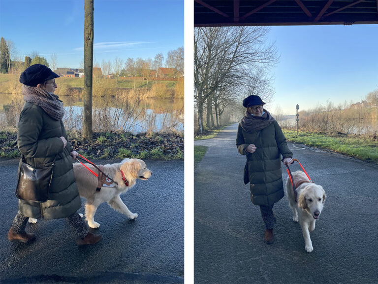 Pollux - Centres Paul Corteville, Association des Chiens Guides d'Aveugles