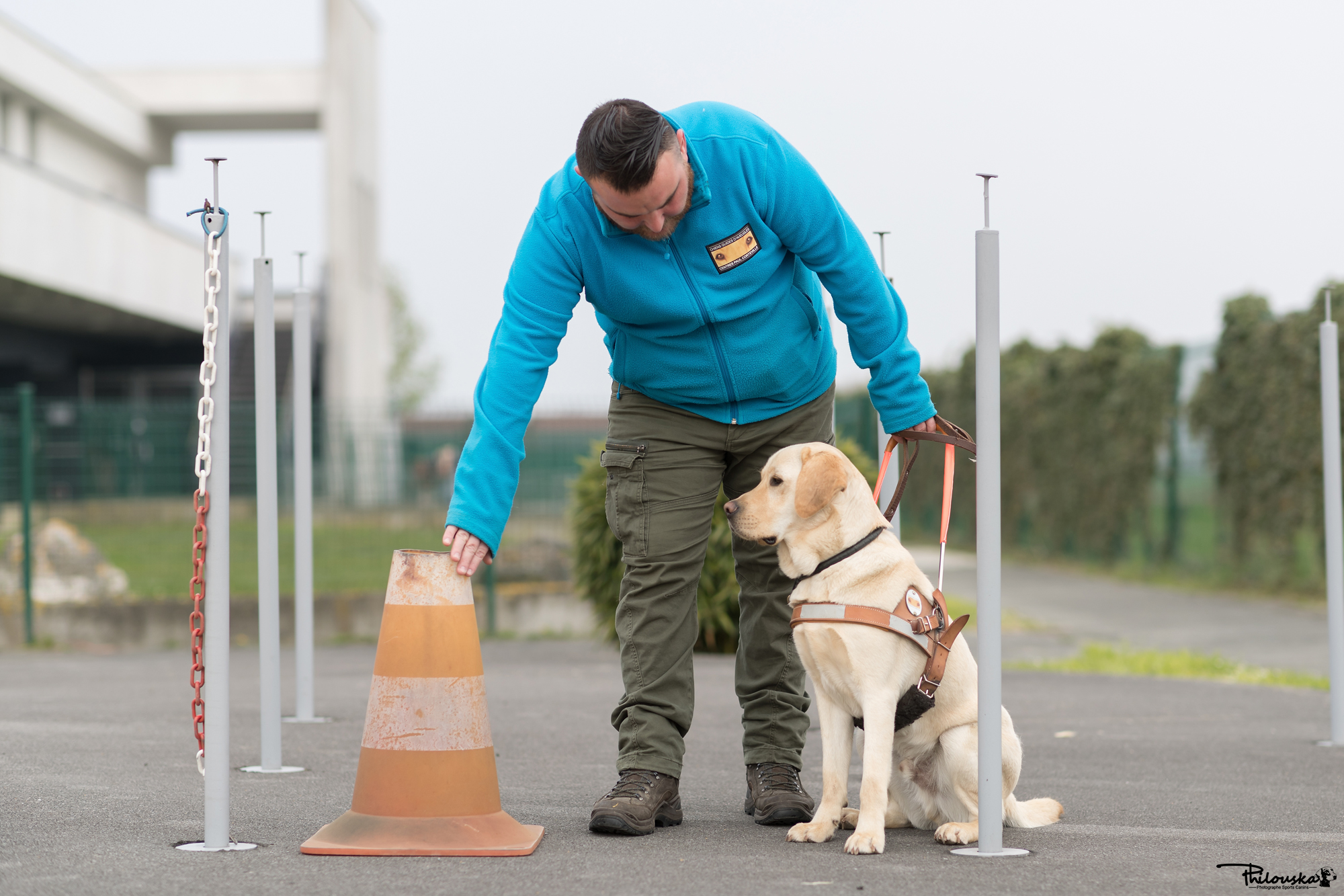 Différences entre moniteur et éducateur de chiens guides